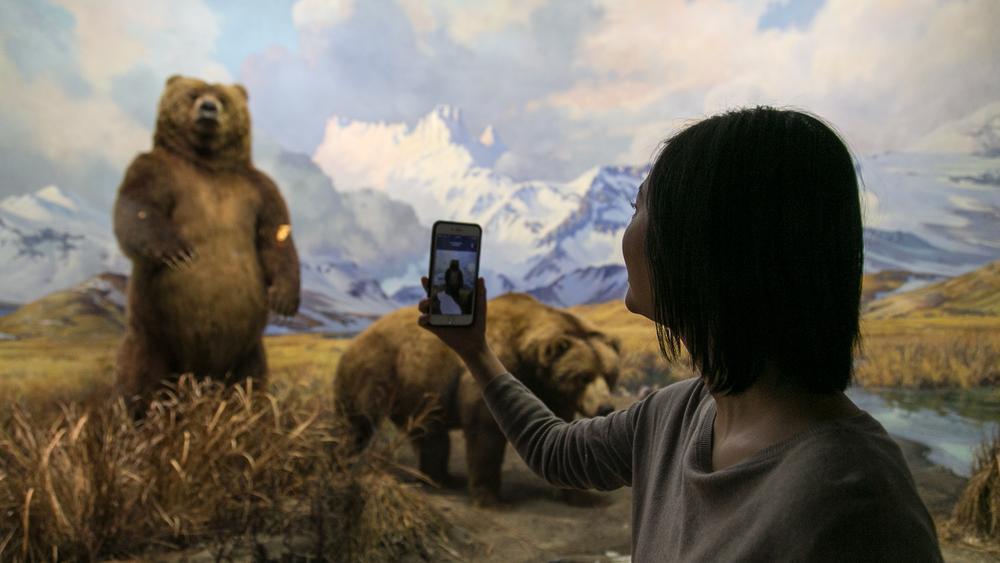 Explorer 2.0 - Local Projects